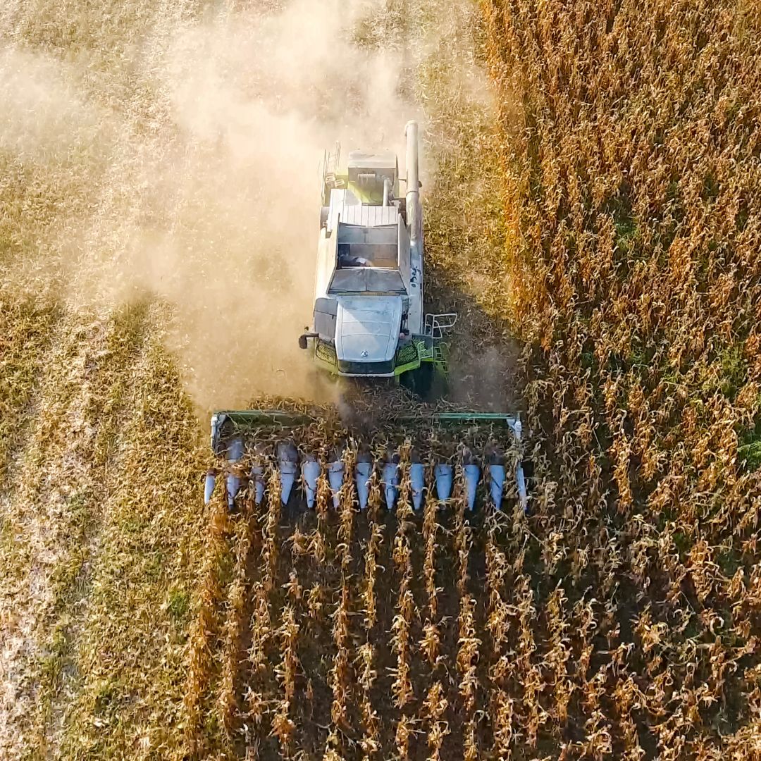 The Benefits of Using Dump Hoppers in Agriculture - Learn More